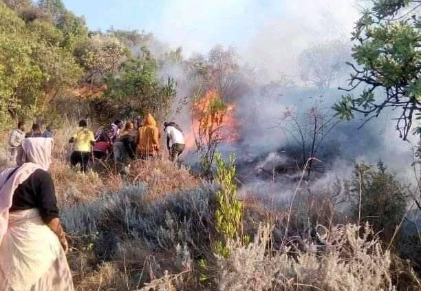 በኢ/ኦ/ተ/ቤ/ክ/በሰ/ት/ቤቶች ማ/መምሪያ – ማኅበረ ቅዱሳን